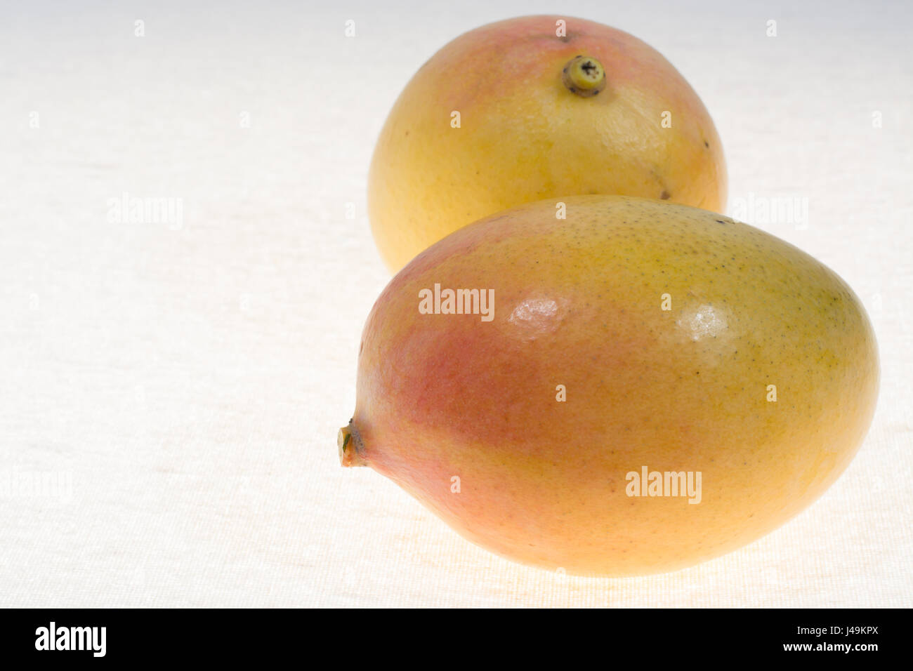 Two ripe organic golden yellow mangoes ready to eat close up Stock ...