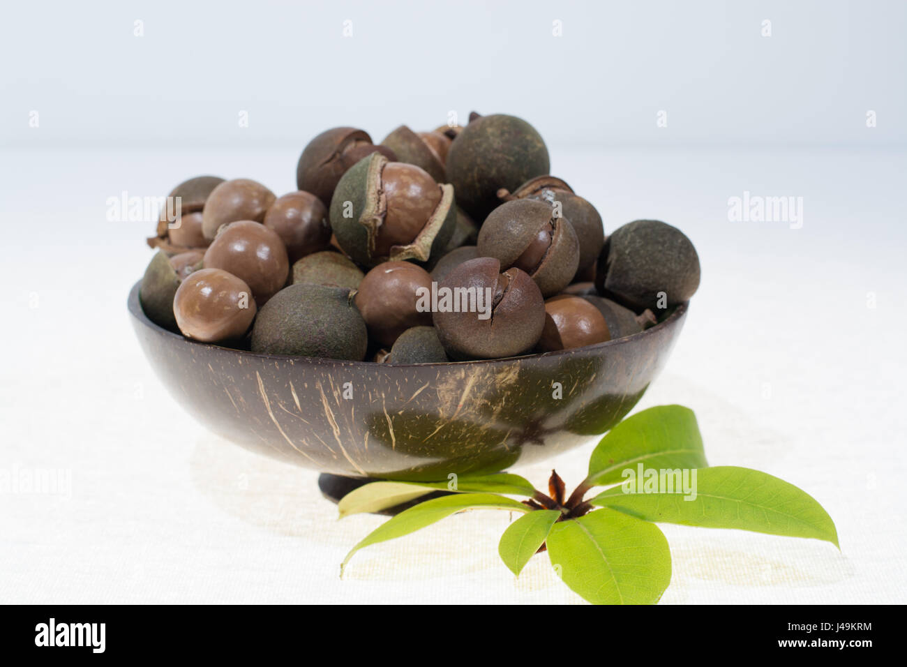 Macadamia nuts in shell, new harvest close up on white background Stock ...
