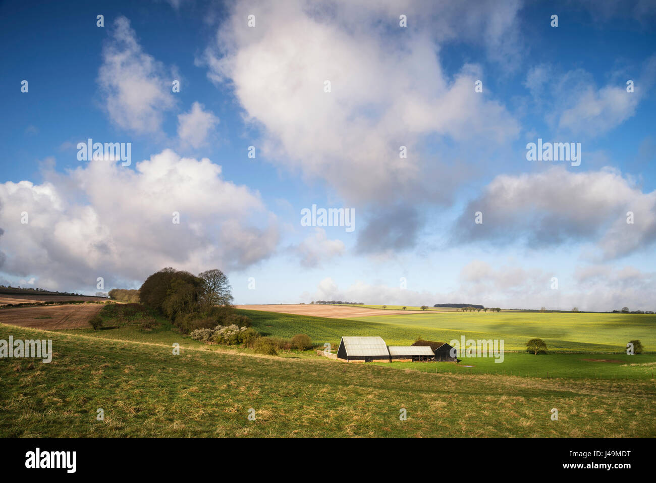 Beautiful agricultural English countryside landscape during early ...
