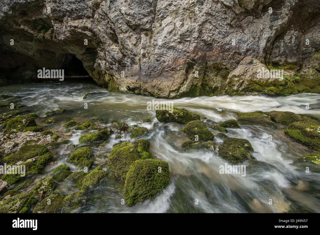 Scenic underground river Rak in Unesco protected national park Rakov ...