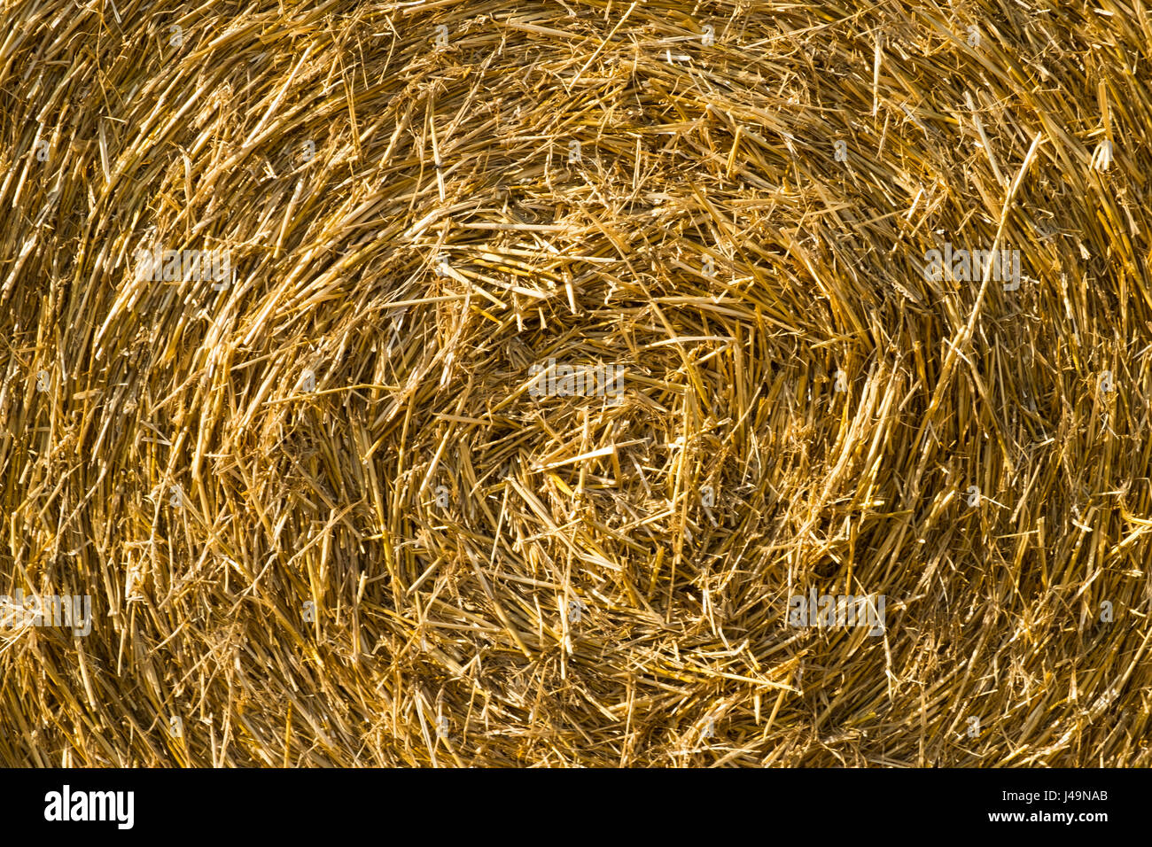 Round straw bale full frame background texture Stock Photo - Alamy