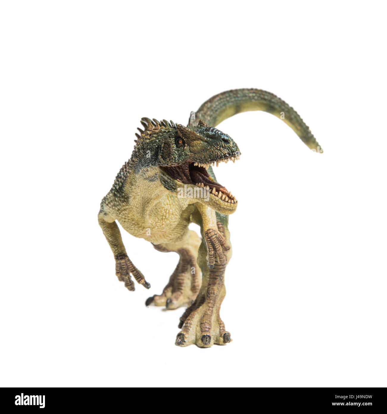 Skeleton prehistoric dinosaur allosaurus close hi-res stock photography ...