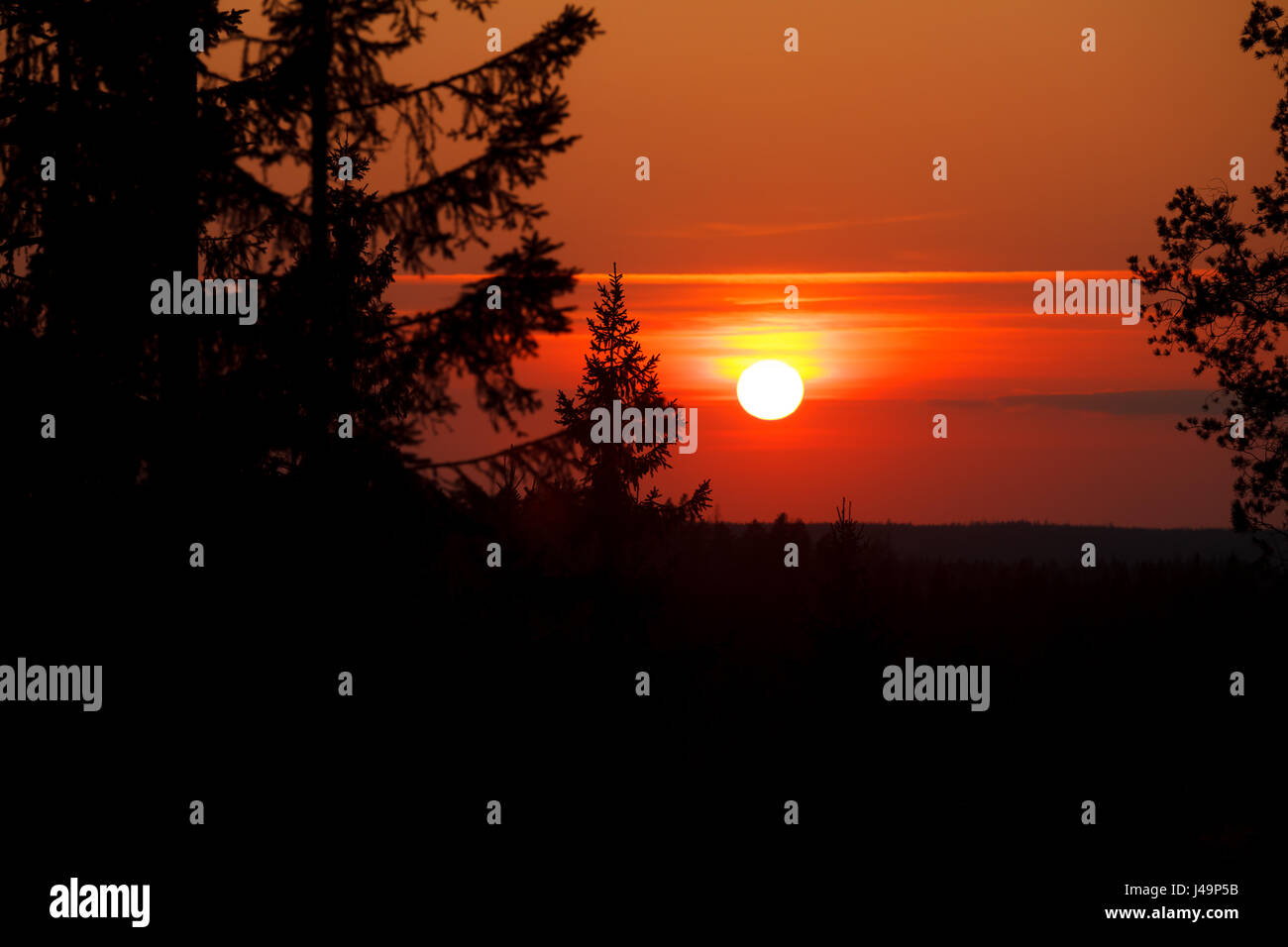 Sun setting over forest hi-res stock photography and images - Alamy