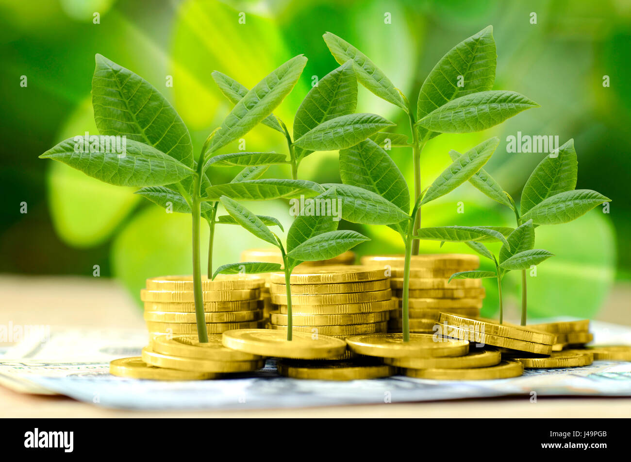 Gold coin and money with green environmental background Stock Photo - Alamy