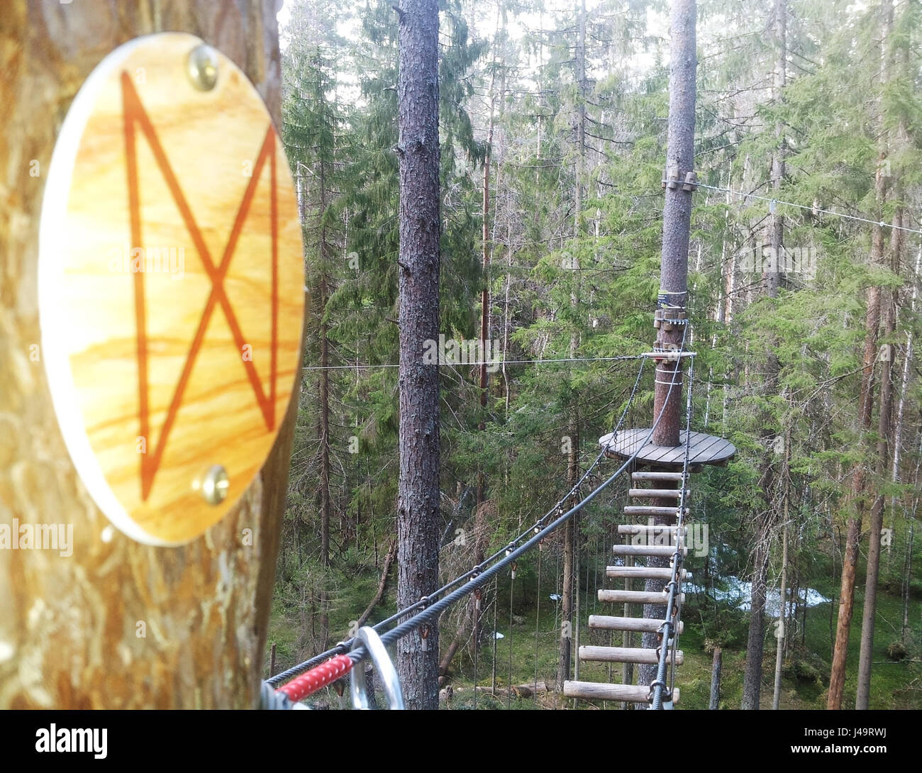 Rope park in a pine forest. Rope track for passage at height. DAGAZ ...