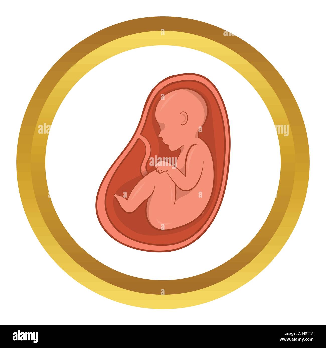 Baby in womb cartoon icon hi-res stock photography and images - Alamy