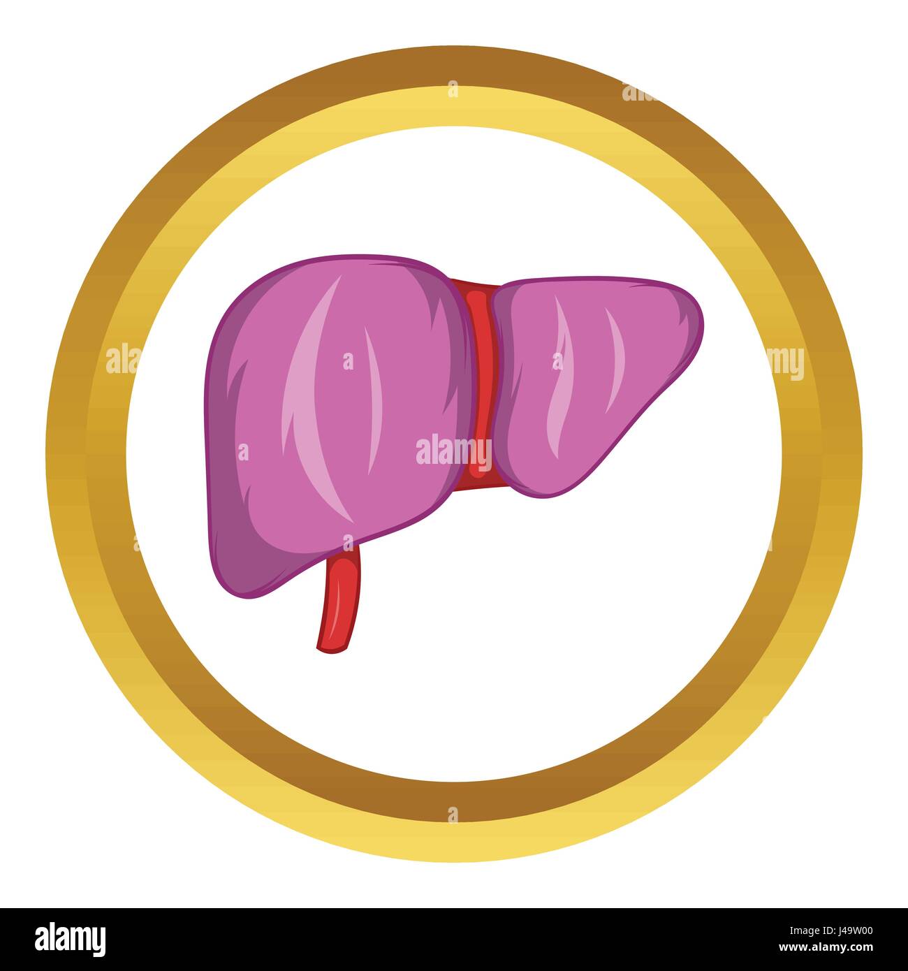 Liver vector icon Stock Vector Image & Art - Alamy
