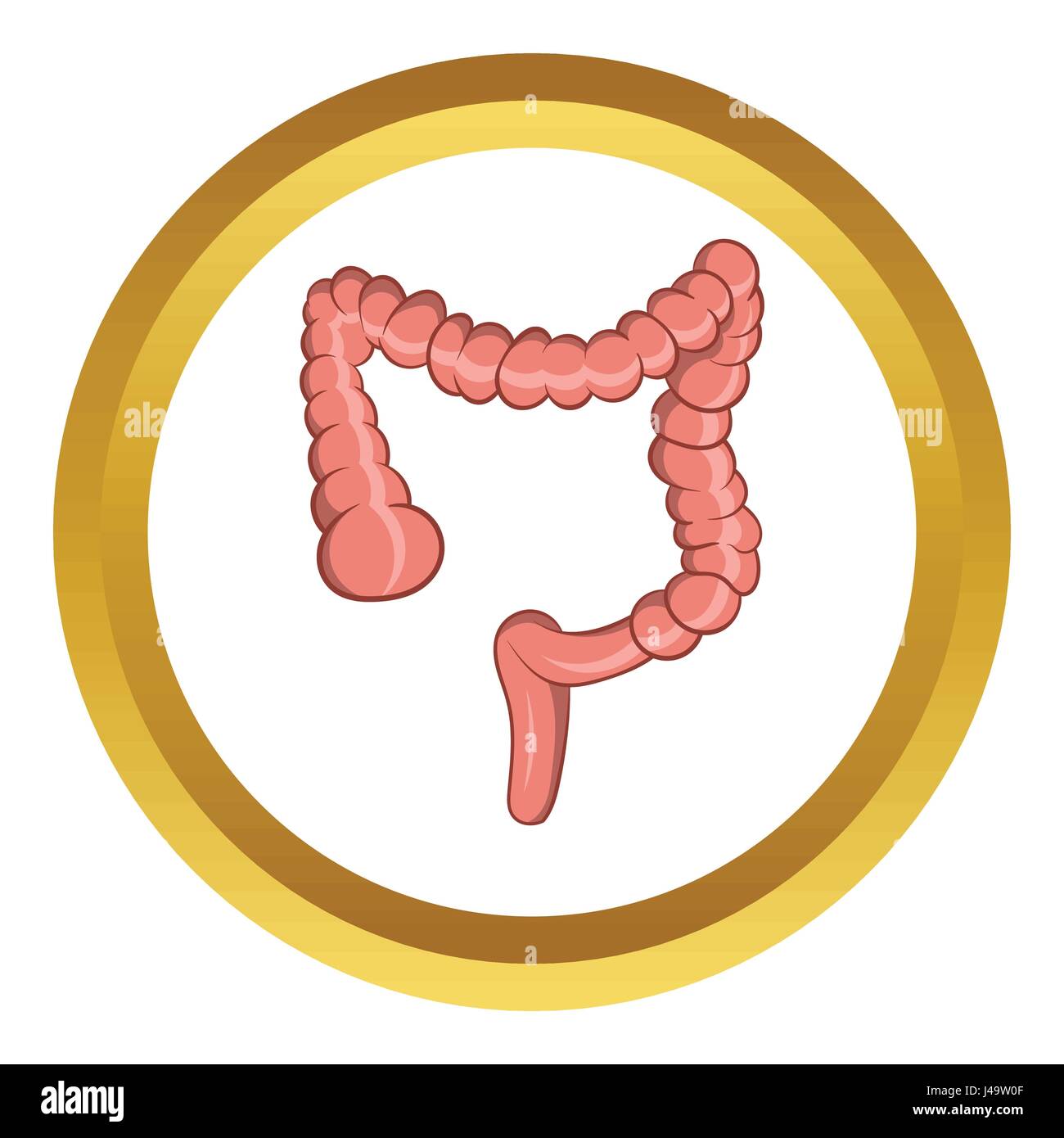 Intestine vector icon Stock Vector Image & Art - Alamy