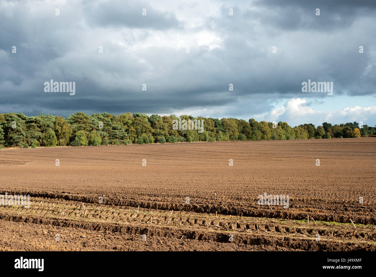 Intensive farmlang hi-res stock photography and images - Alamy