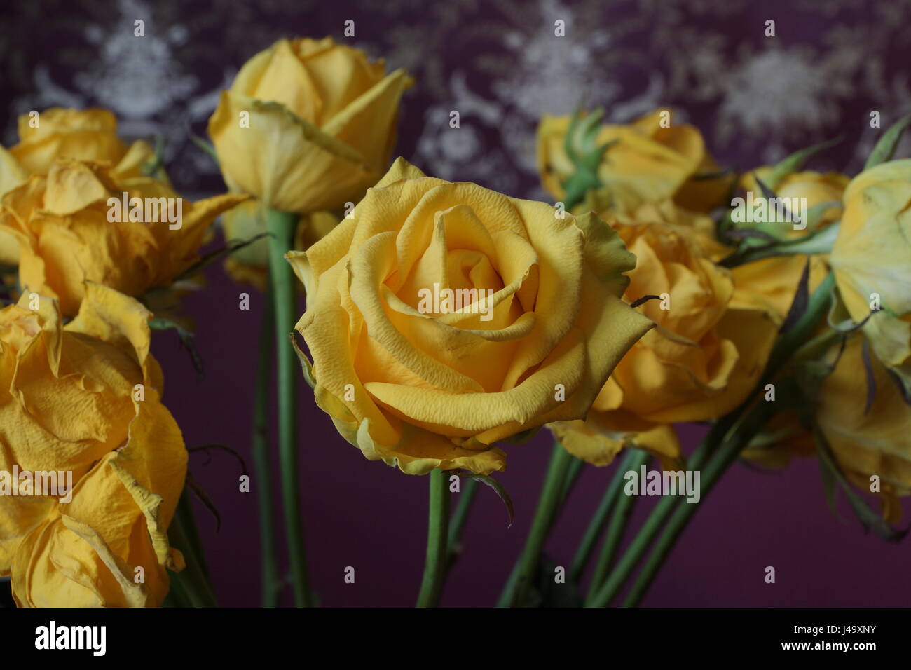 Composition "Yellow roses" with elements of macro./Composition with ...