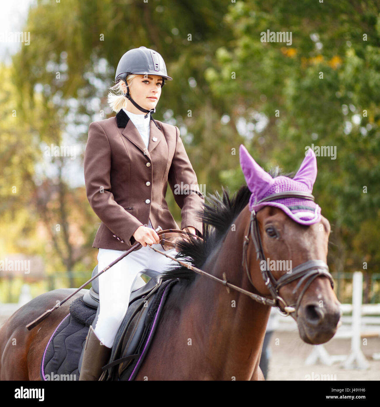 Young rider girl on horse at dressage competition. Equestrian sport ...