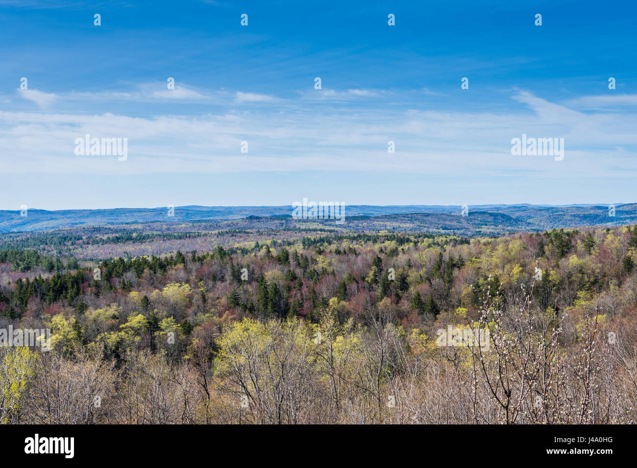 Hogback Mountain Scenic Overlook in Green Mountain State Park in ...