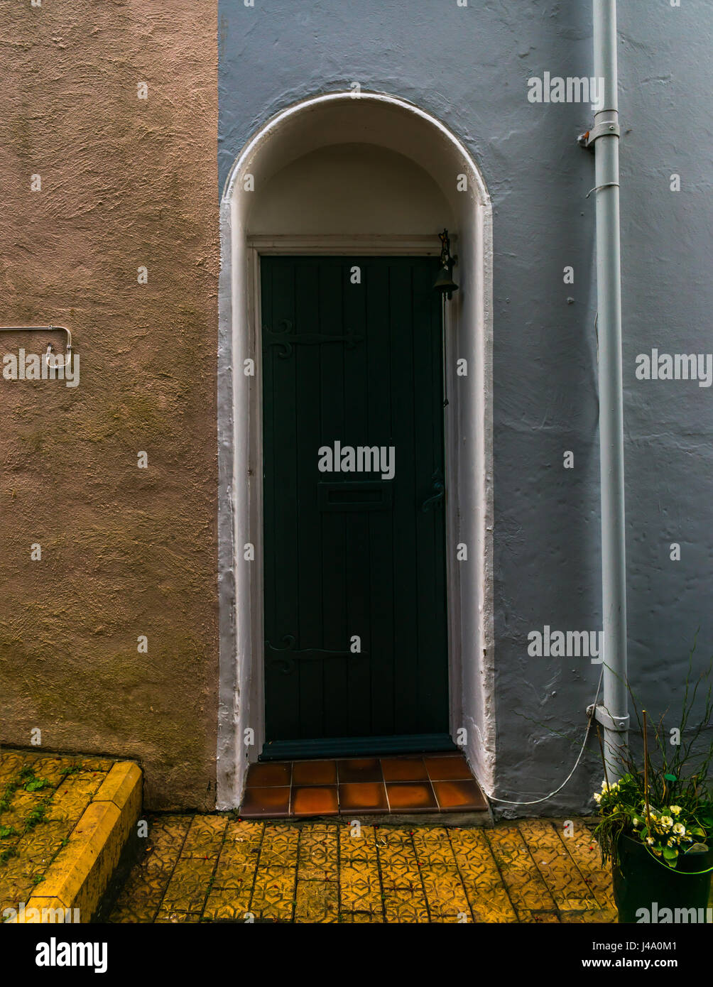 Entrance to a residential building, green door, plant in pot and gutter ...