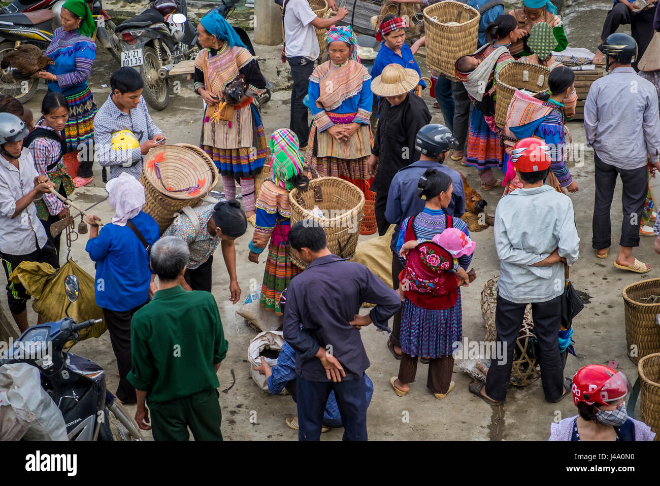 Livestock trading in sunday hi-res stock photography and images - Alamy