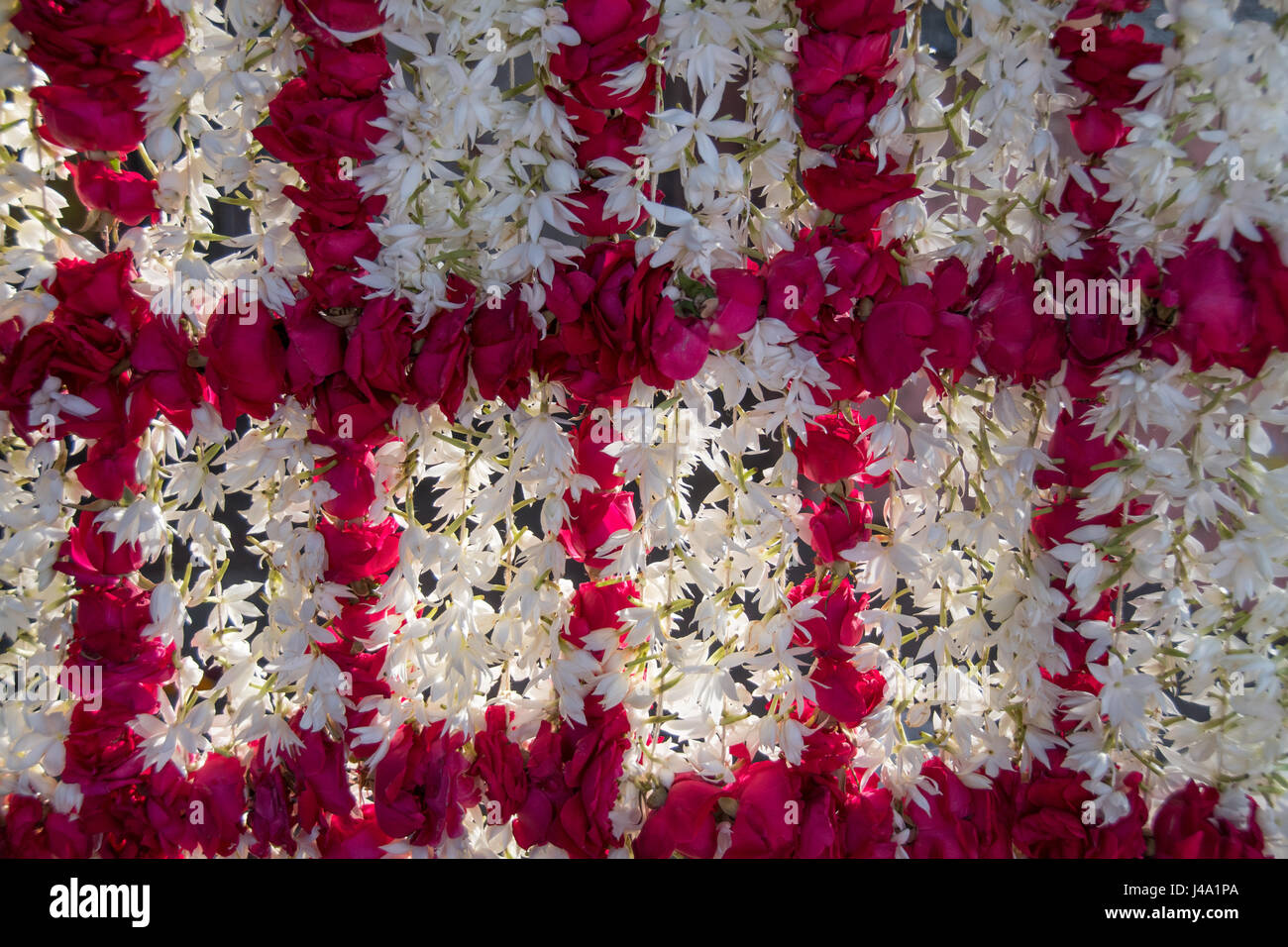 Johri Bazaar; Roses and Yucca flowers in Jaipur, India Stock Photo - Alamy