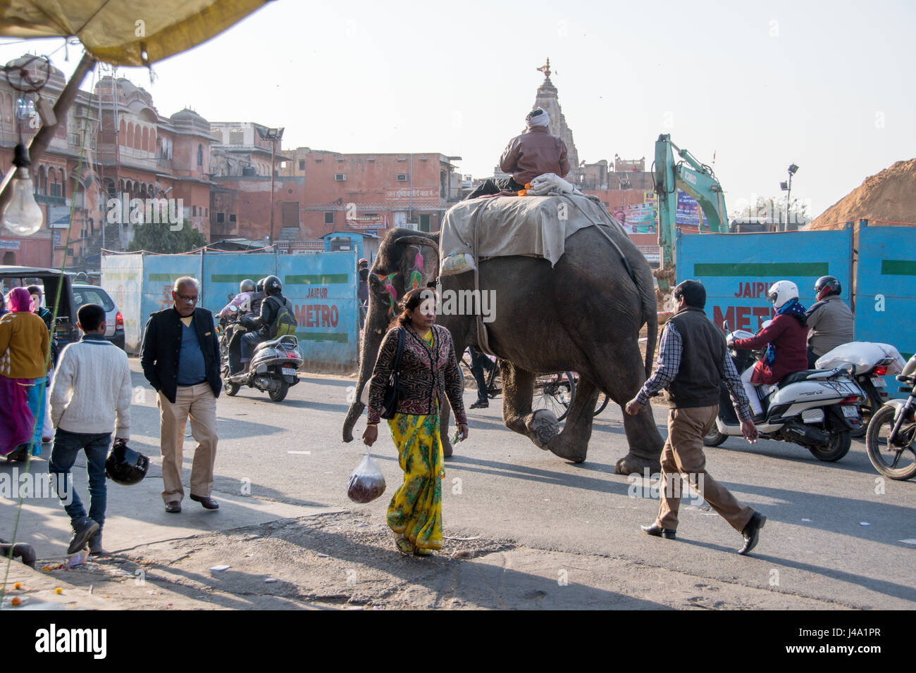 An elephant walks along with locals on a busy street in Jaipur, India ...