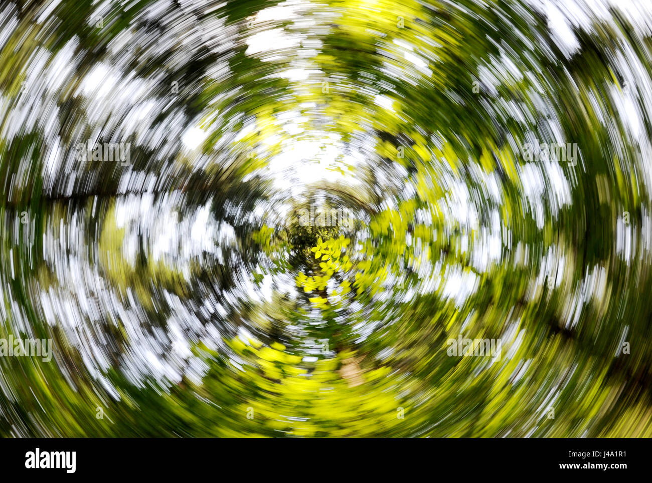 Botanyjungle hi-res stock photography and images - Alamy