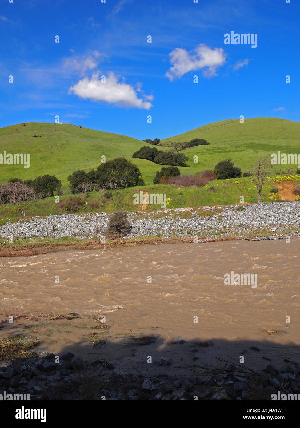 Alameda Creek, East Bay Regional Park, Niles Canyon, Fremont ...