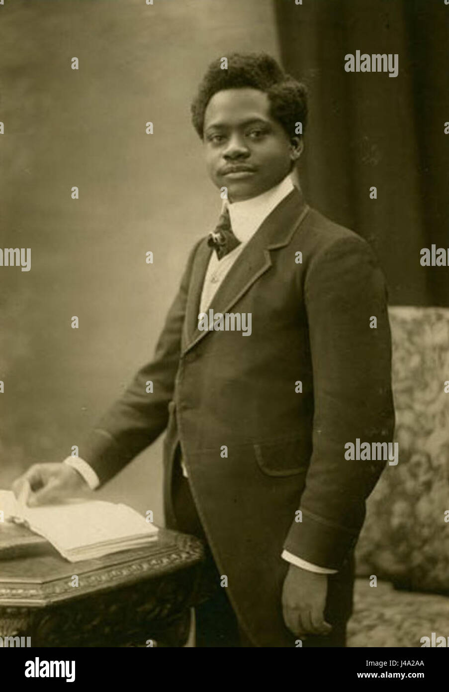 Giant panda endangered status hi-res stock photography and images - Alamy