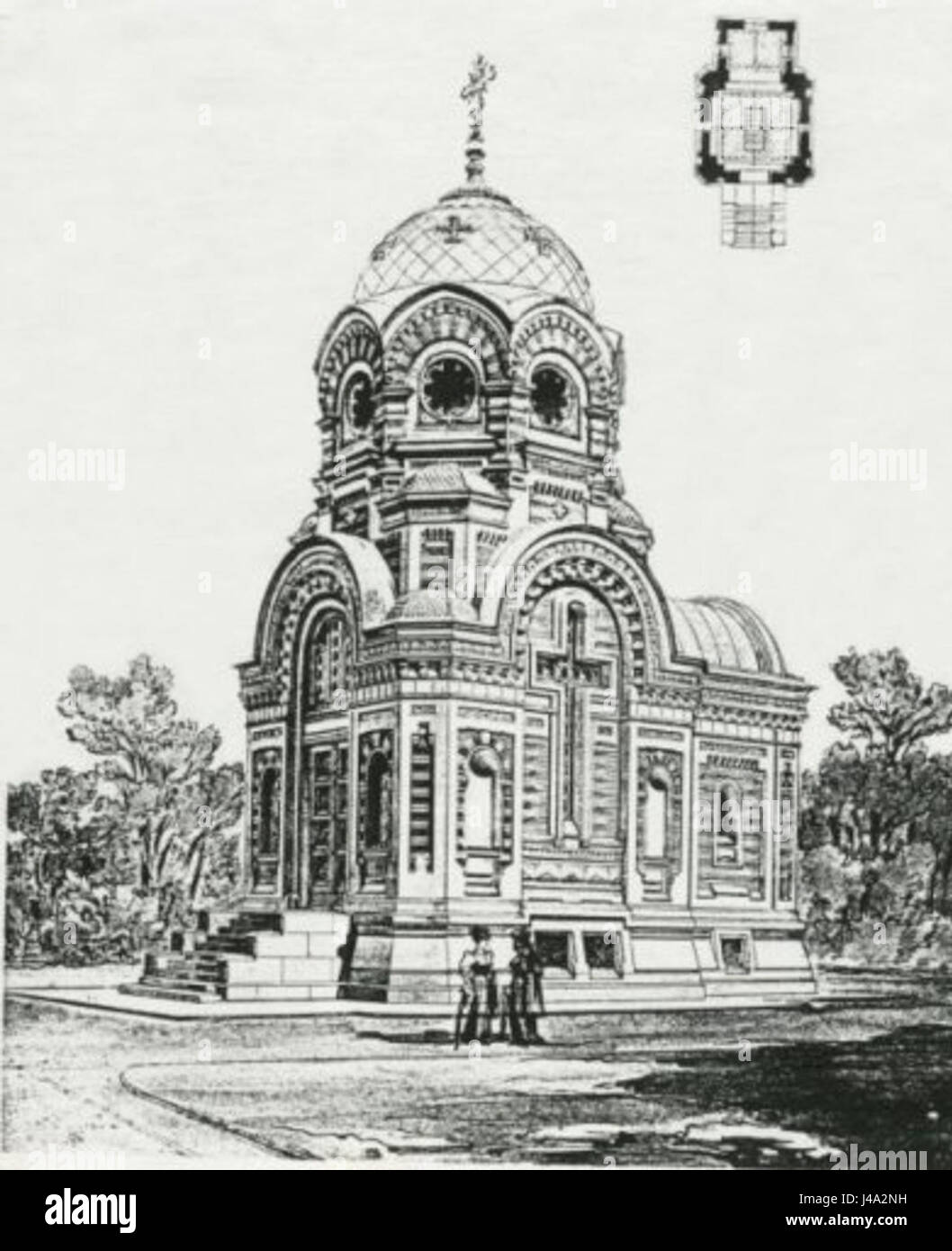 Seals physical features hi-res stock photography and images - Alamy