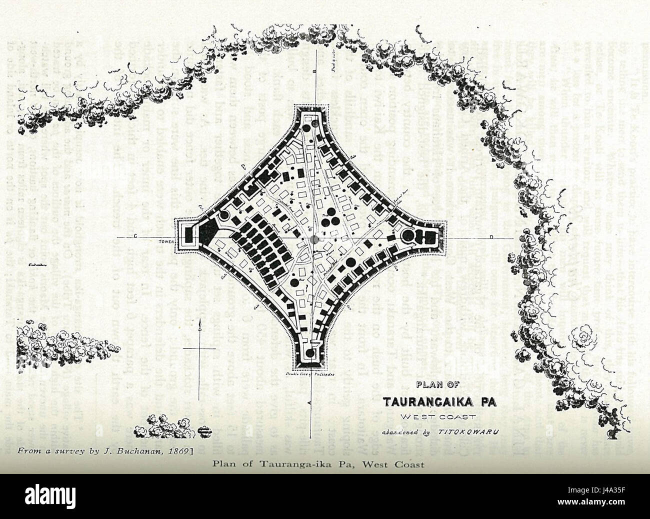 A detailed map of Tauranga Ika Pa, a historic MÄ ori pÄ (fortified ...