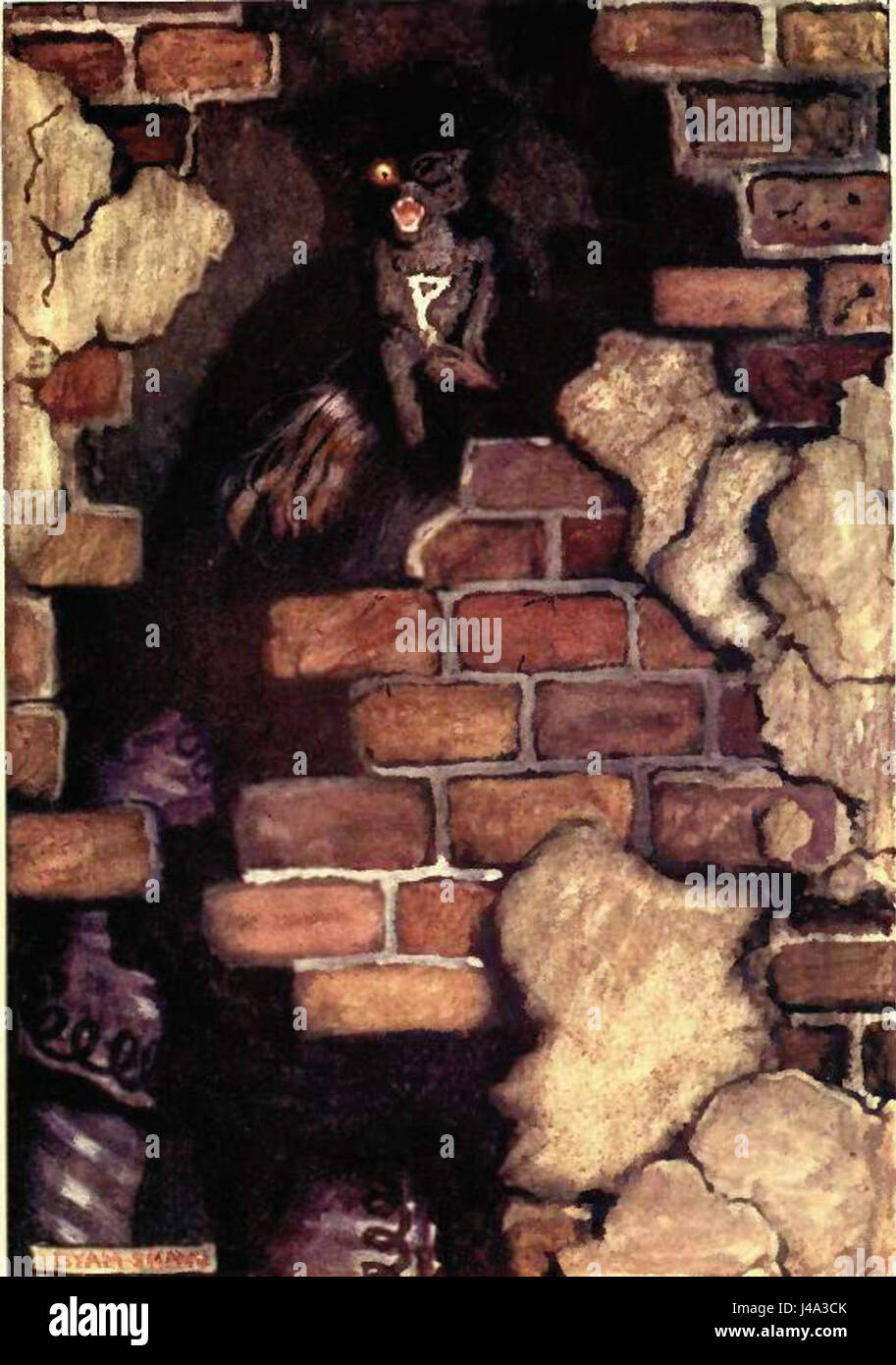 A reference to Edgar Allan Poe's story 'The Black Cat,' illustrated or ...