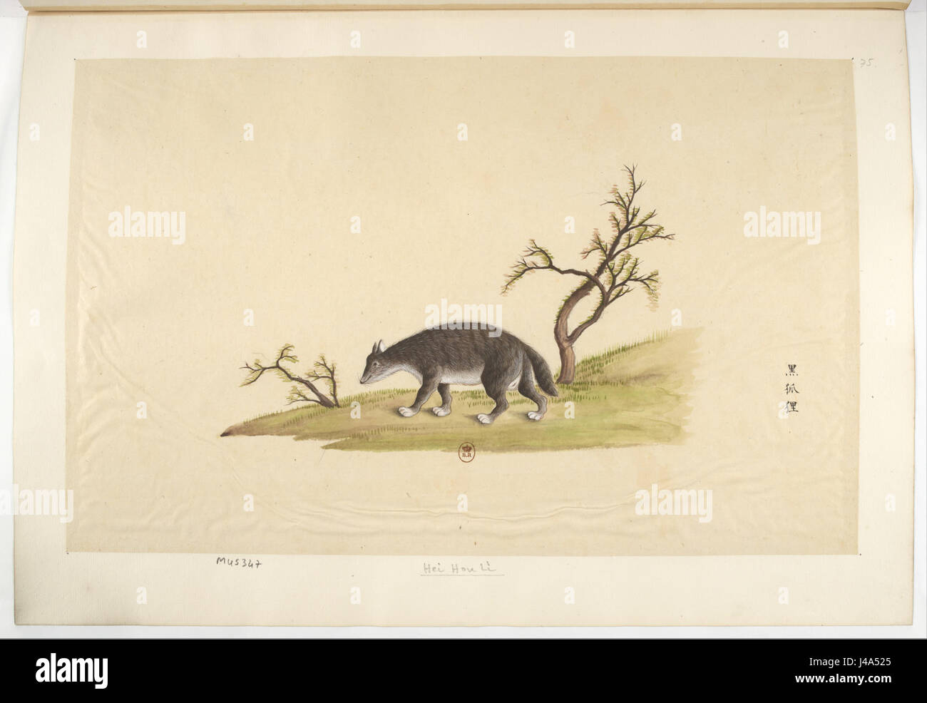 'Recueil Animaux de la Chine' is a French book featuring illustrations ...