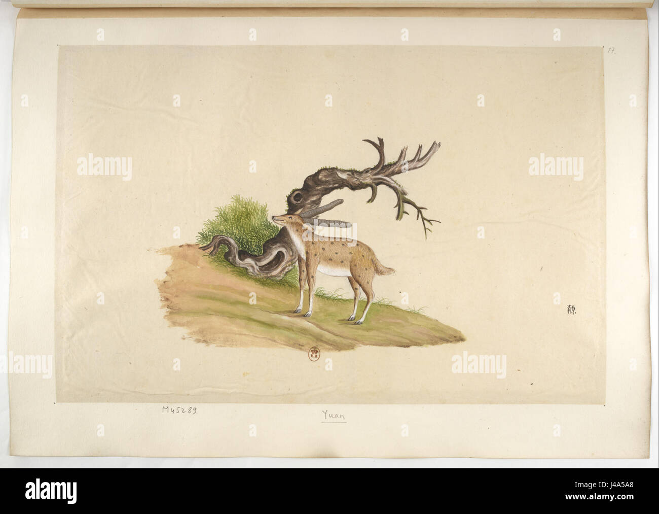 'Recueil Animaux de la Chine' is a collection of illustrations of ...