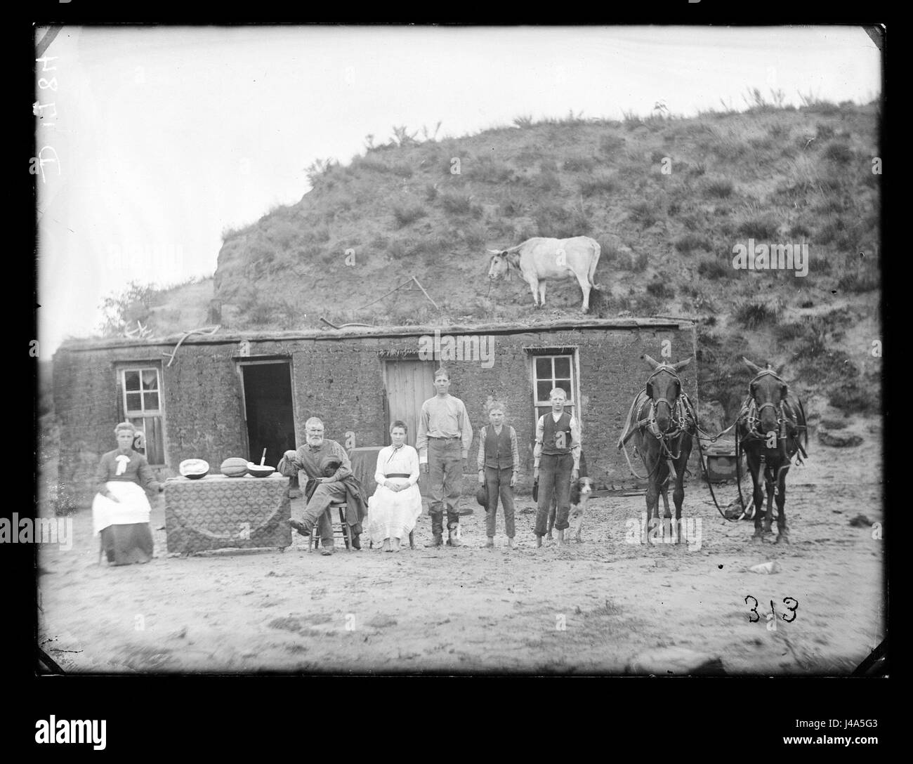 The Rawding family sod house was a typical dwelling in the American ...