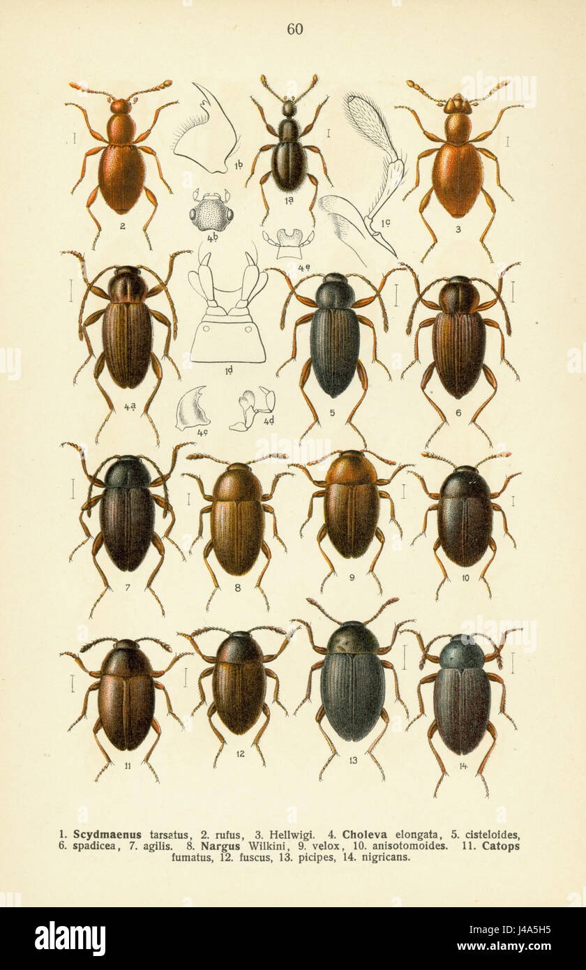 Artifact values hi-res stock photography and images - Alamy