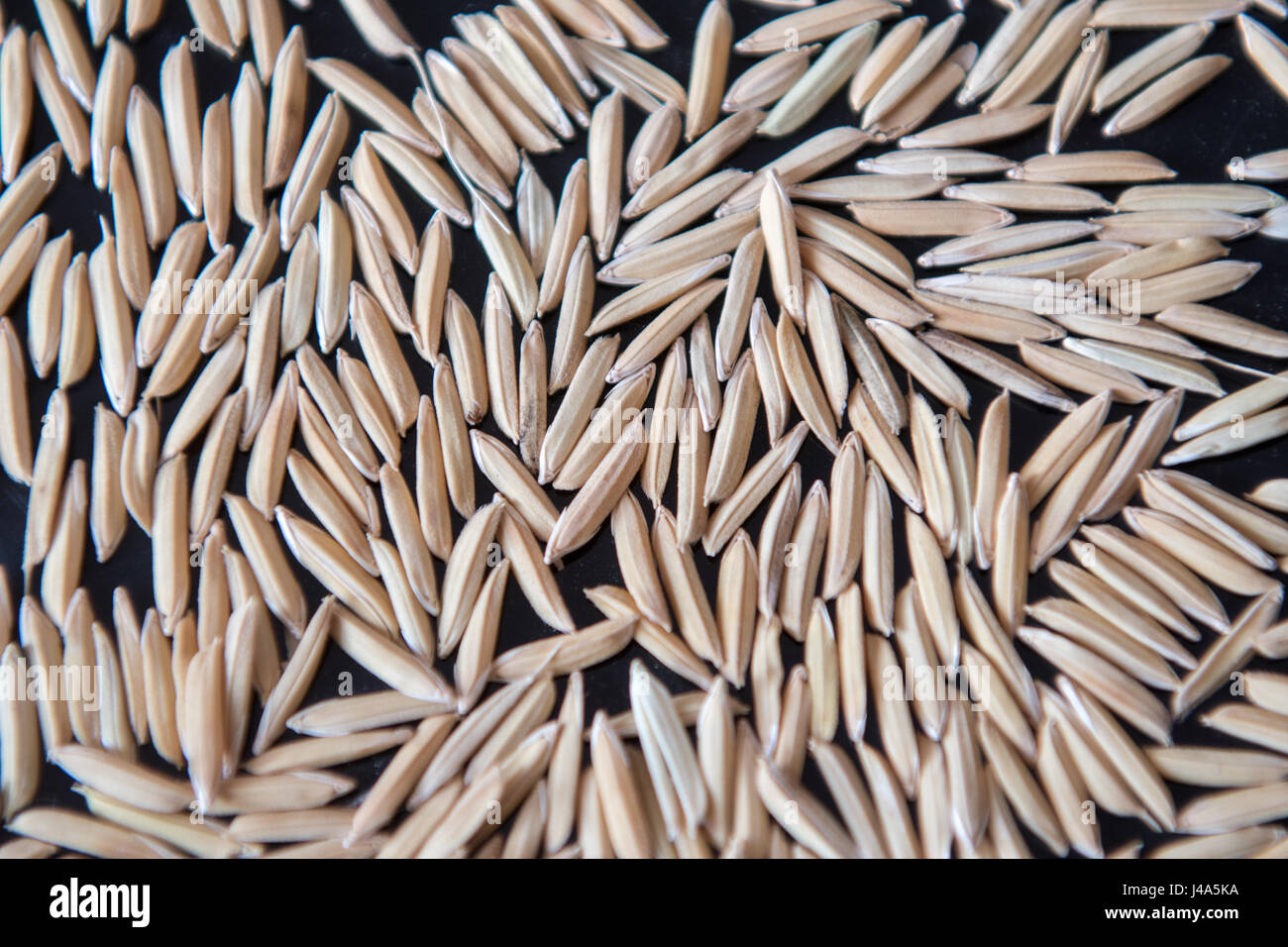 Close up view of local basmati rice in New Delhi, India Stock Photo - Alamy