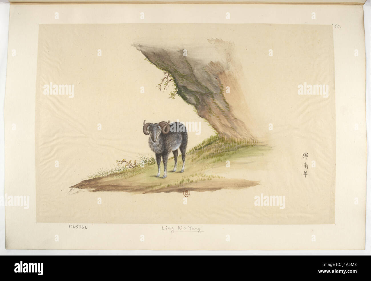 Recueil Animaux de la Chine is an illustrated collection documenting ...