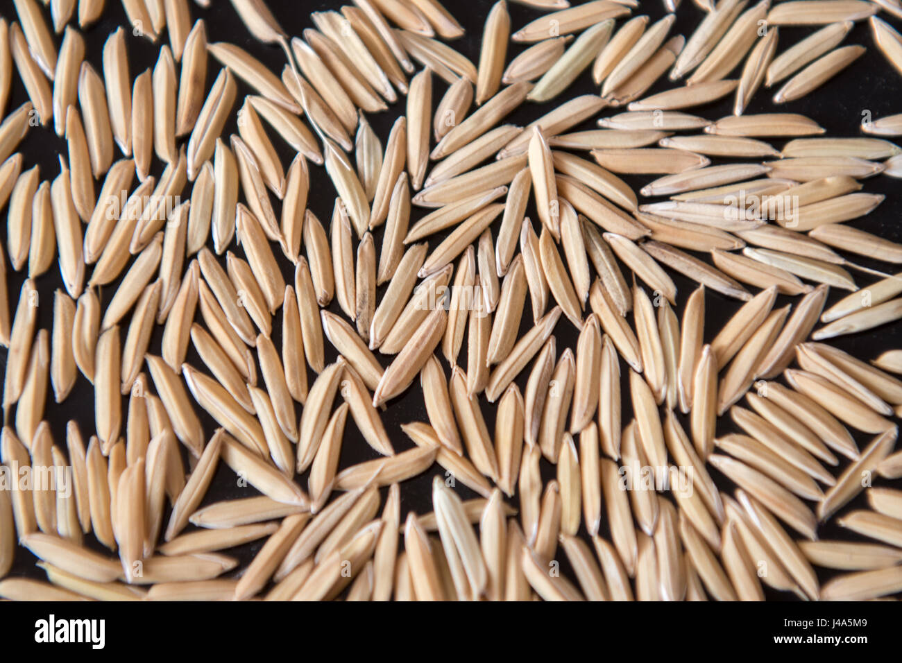 Slender rice hi-res stock photography and images - Alamy
