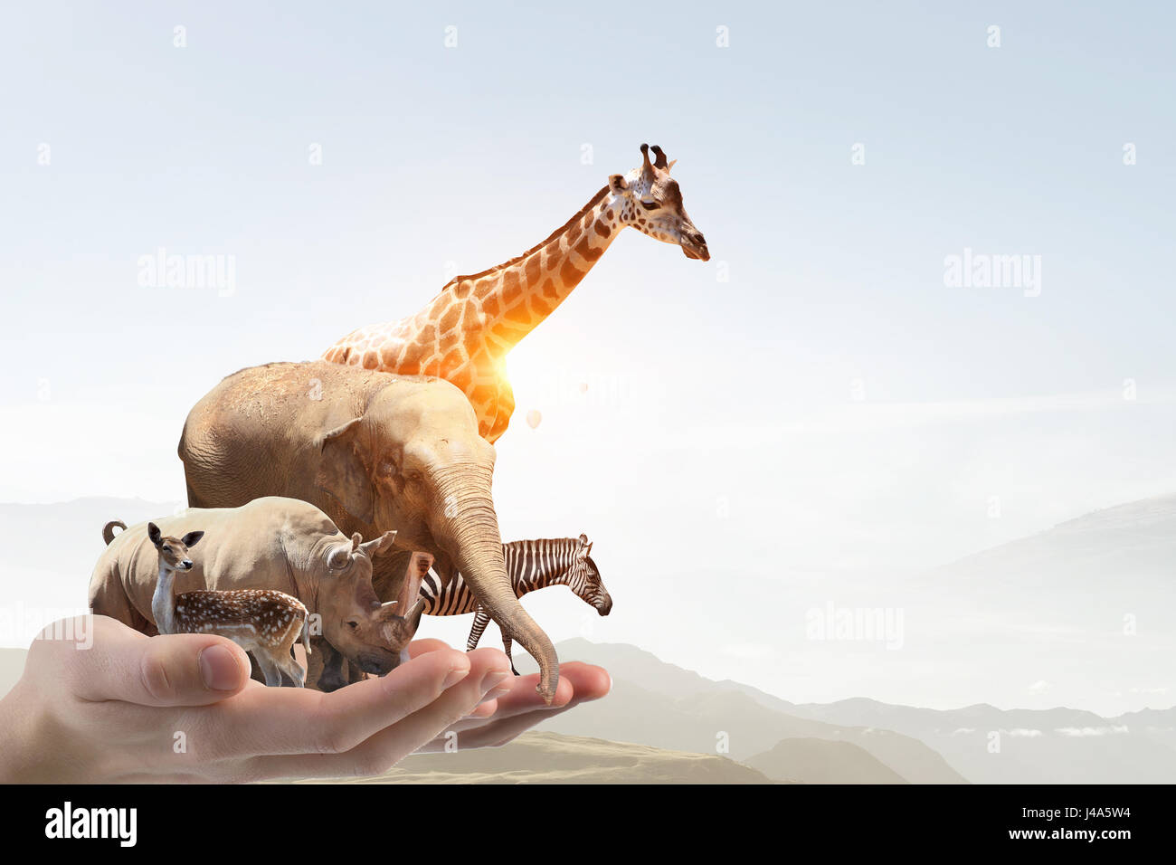 Animals care and protection Stock Photo - Alamy