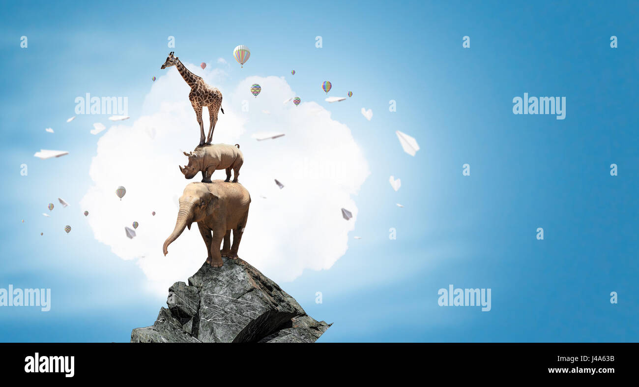 Animals care and protection Stock Photo - Alamy