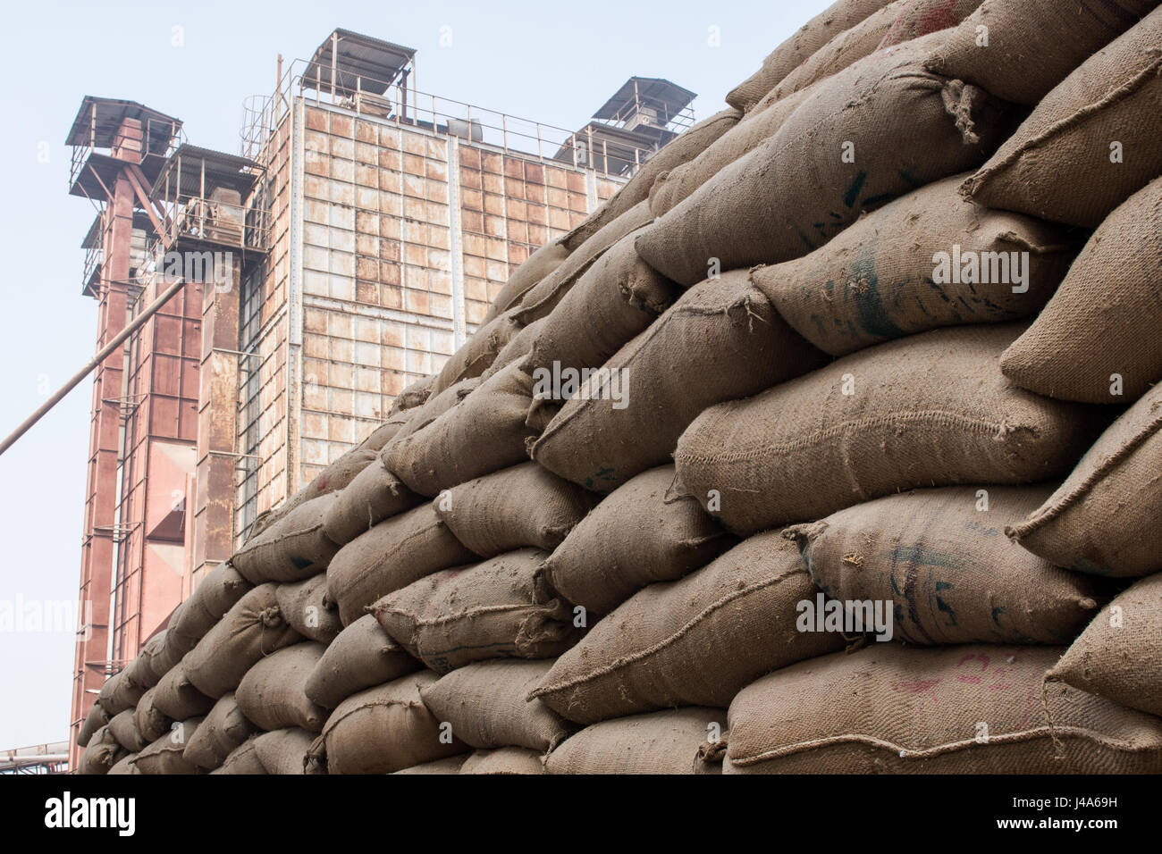 Local grains are stacked in a farming facility in New Delhi, India ...