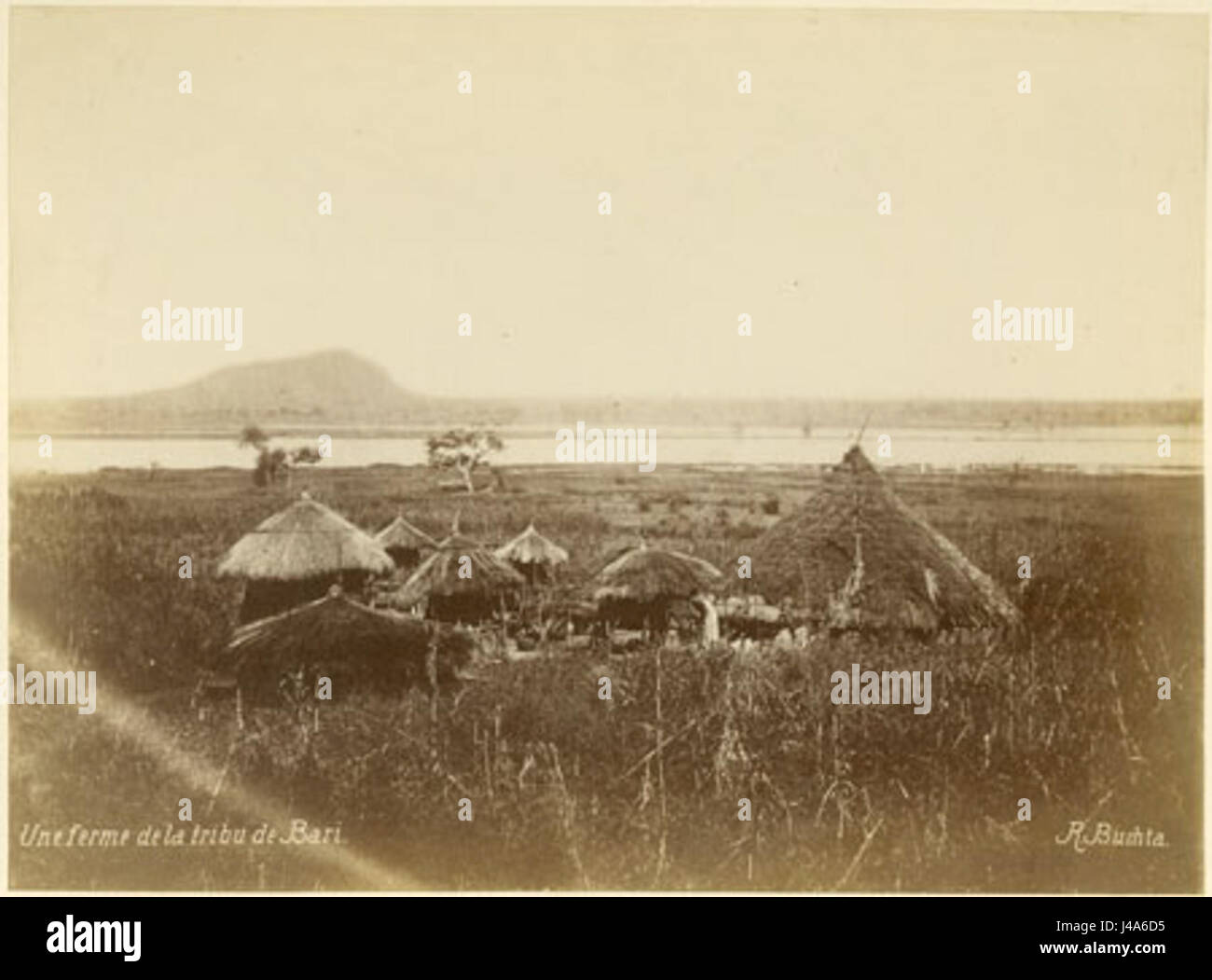 Richard Buchta Bari homestead Stock Photo - Alamy