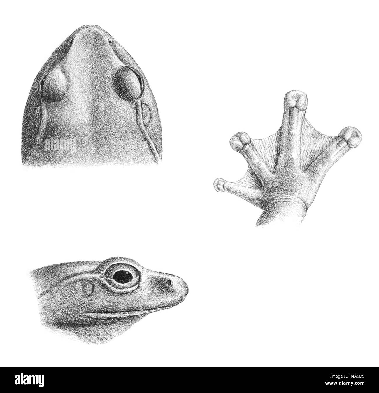 Kingdom southeast asia Cut Out Stock Images & Pictures - Alamy