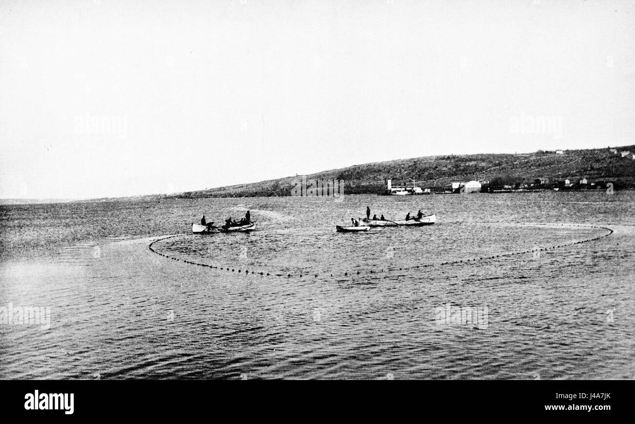 Purse seine nets hi-res stock photography and images - Alamy