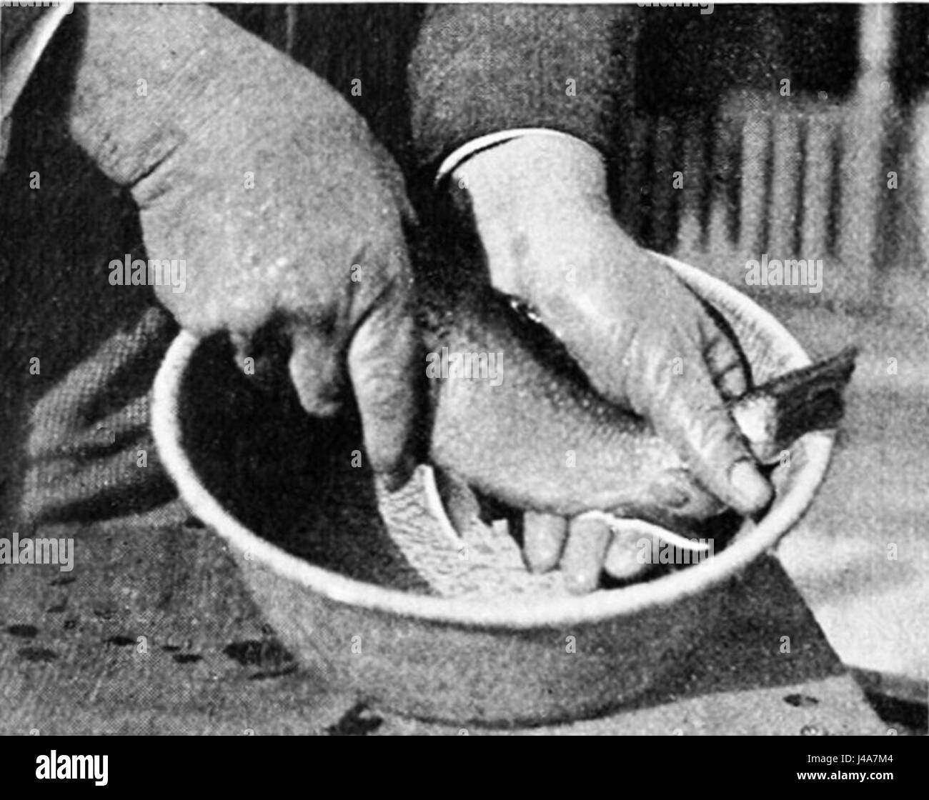 Trout breeding Black and White Stock Photos & Images - Alamy