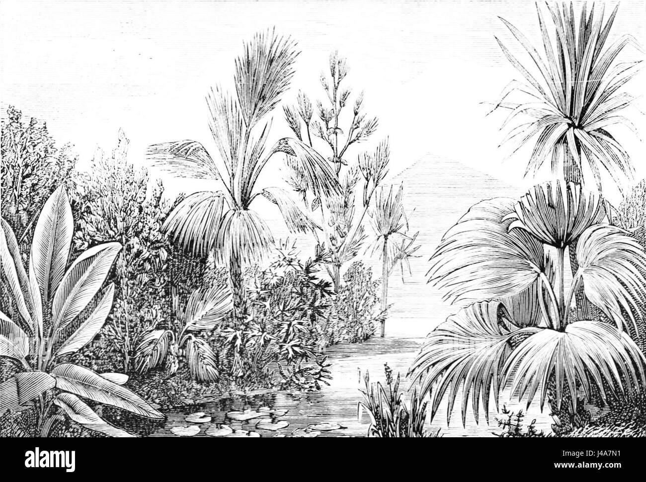 Gypsum map hi-res stock photography and images - Alamy