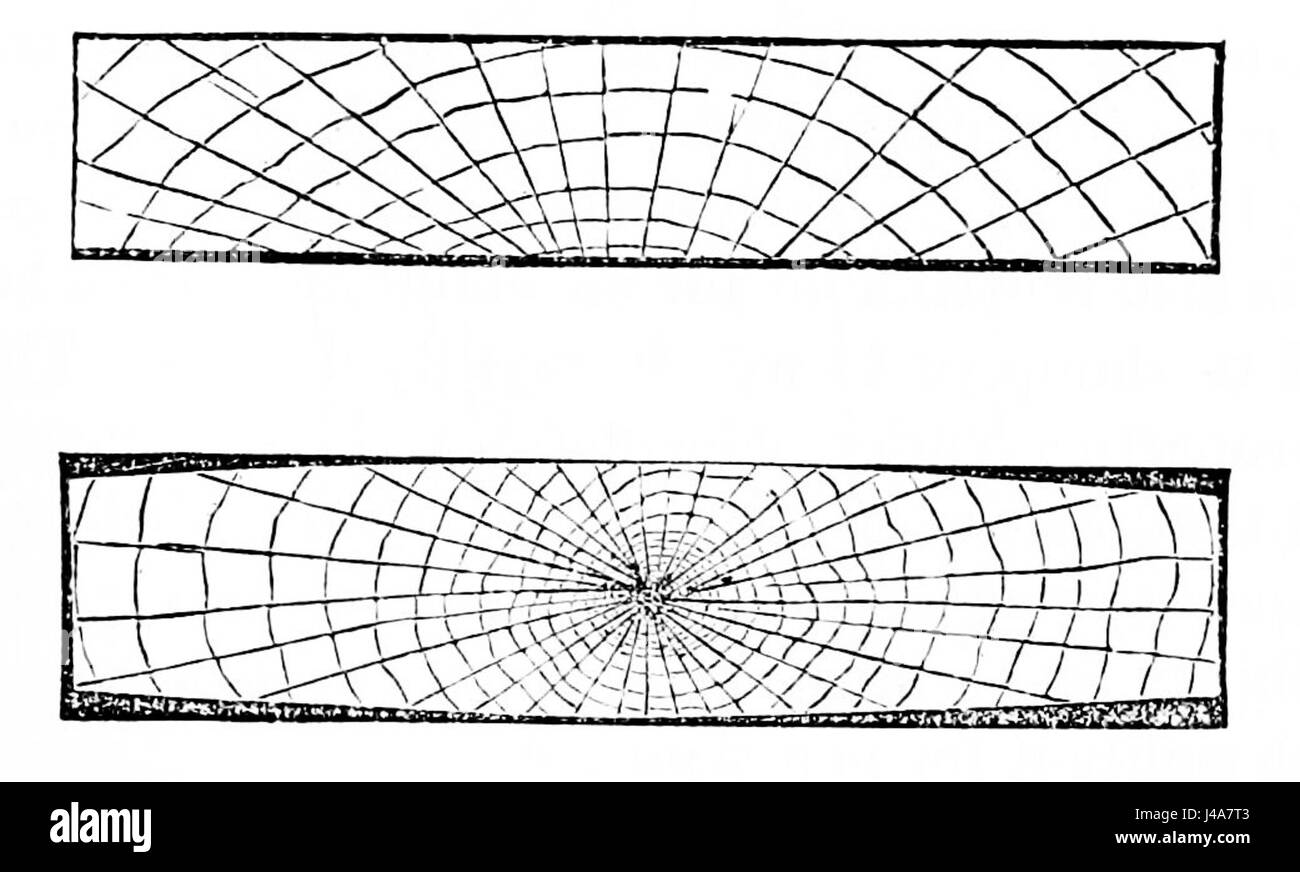 Detailed cellular structure Cut Out Stock Images & Pictures - Alamy