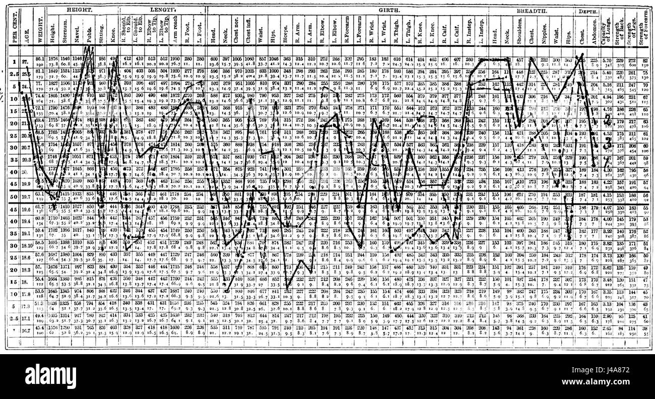 Anthropometric hi-res stock photography and images - Alamy