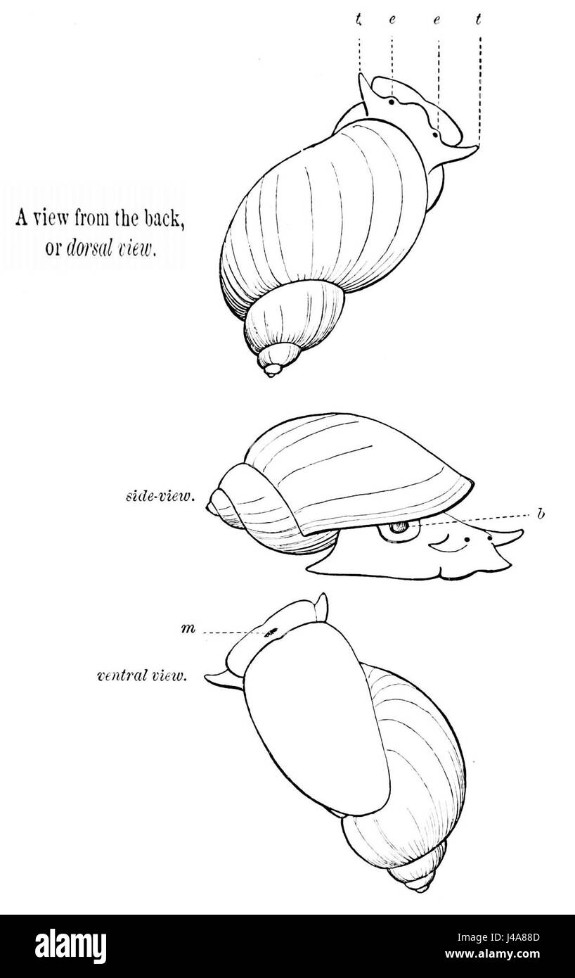 Aquatic views Black and White Stock Photos & Images - Alamy