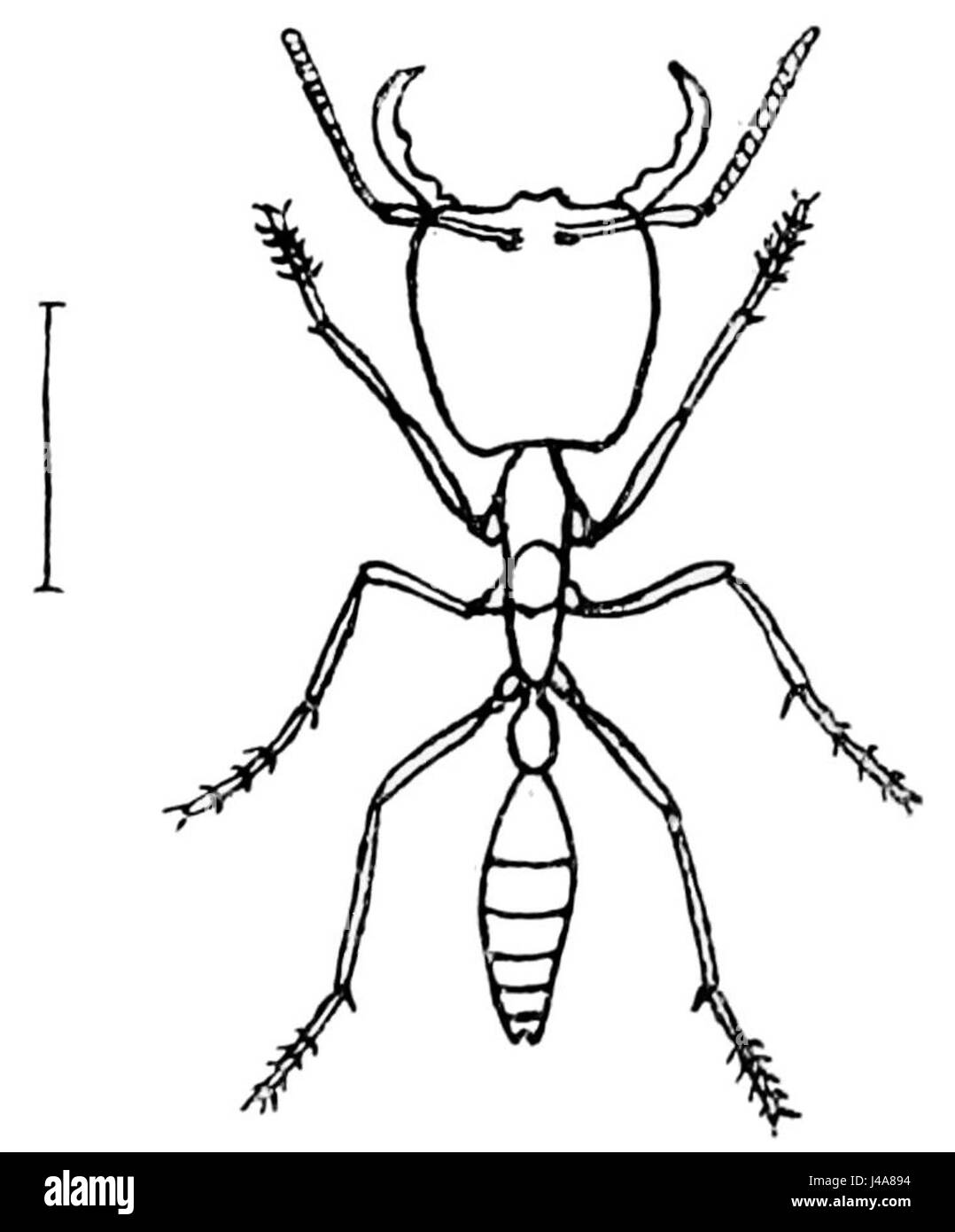 Army driver Black and White Stock Photos & Images - Alamy