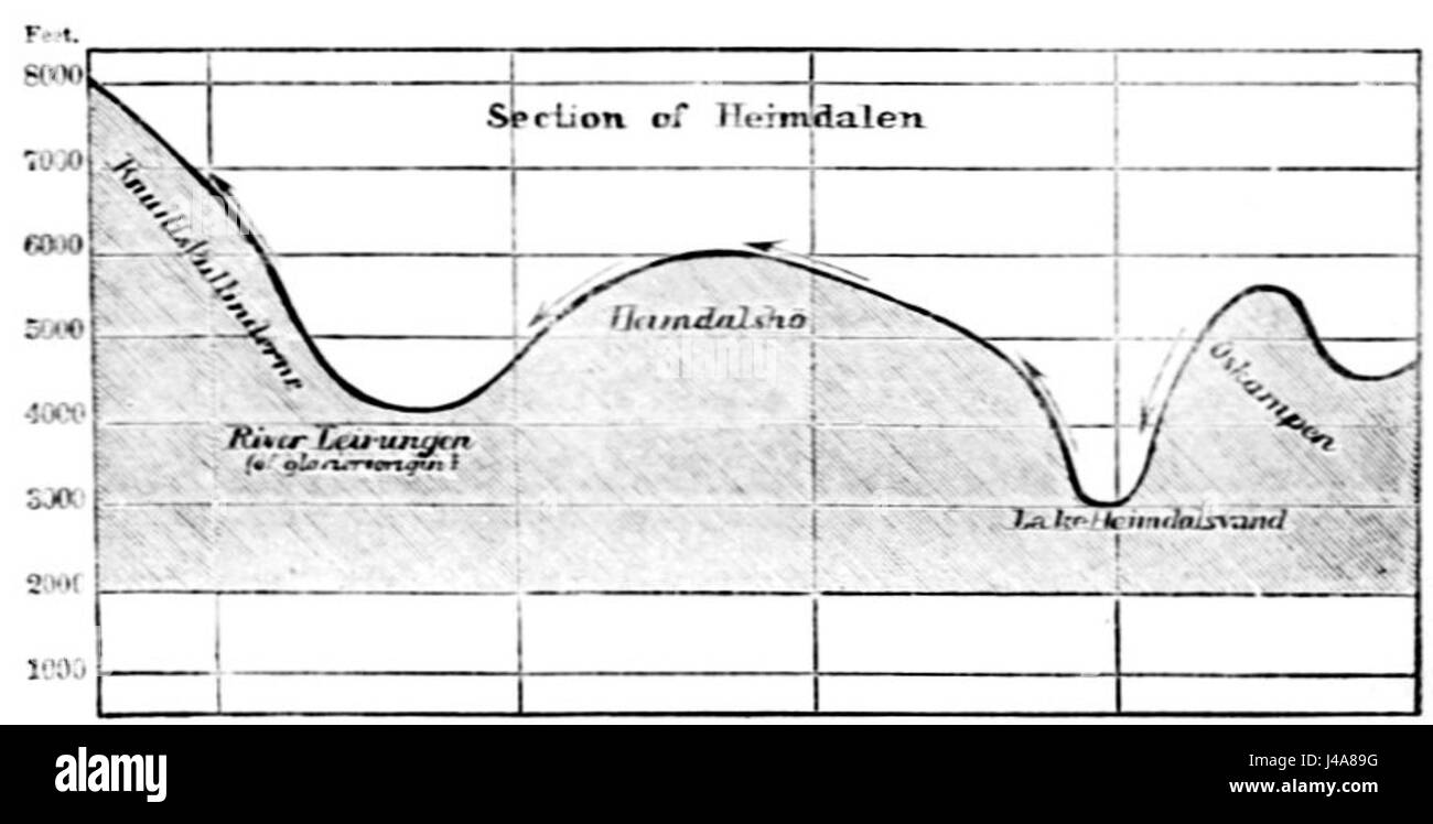 PSM V11 D425 Tracking Lemming migration Stock Photo - Alamy