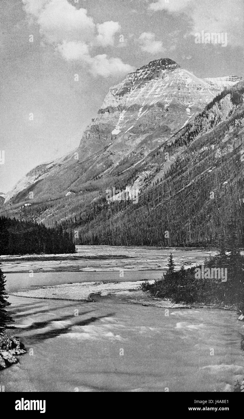 This image depicts horizontal rocks on Mount Stephen, likely showcasing ...