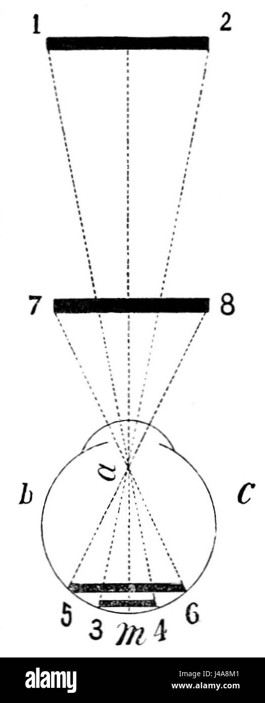 Object relations theory hi-res stock photography and images - Alamy