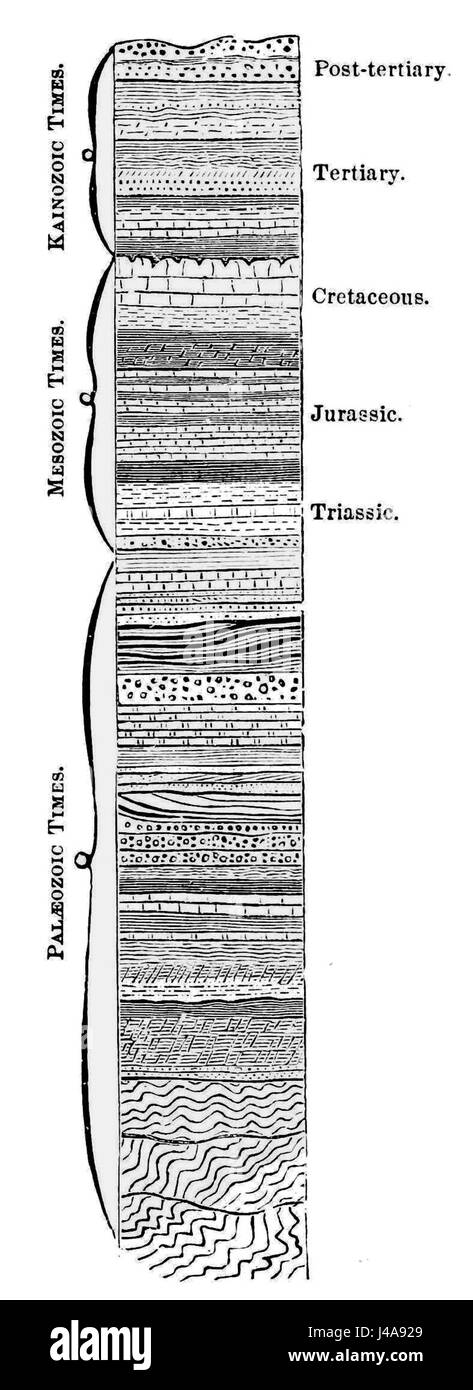Geologic Time Scale Horizontal