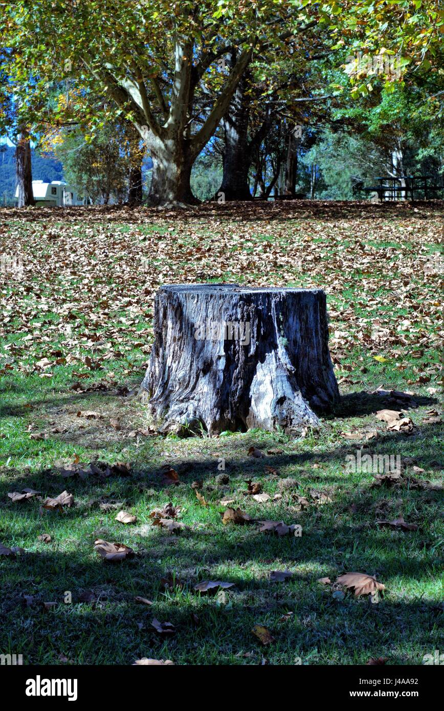 Australian natural resources hi-res stock photography and images - Alamy